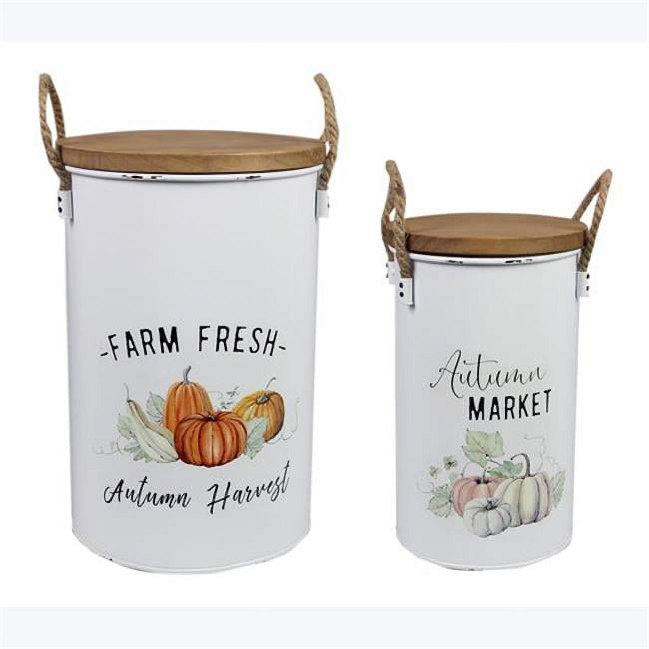 Youngs 82414 11.6 x 13.5 in. Metal Fall Storage Tin Buckets Set - 2 ...