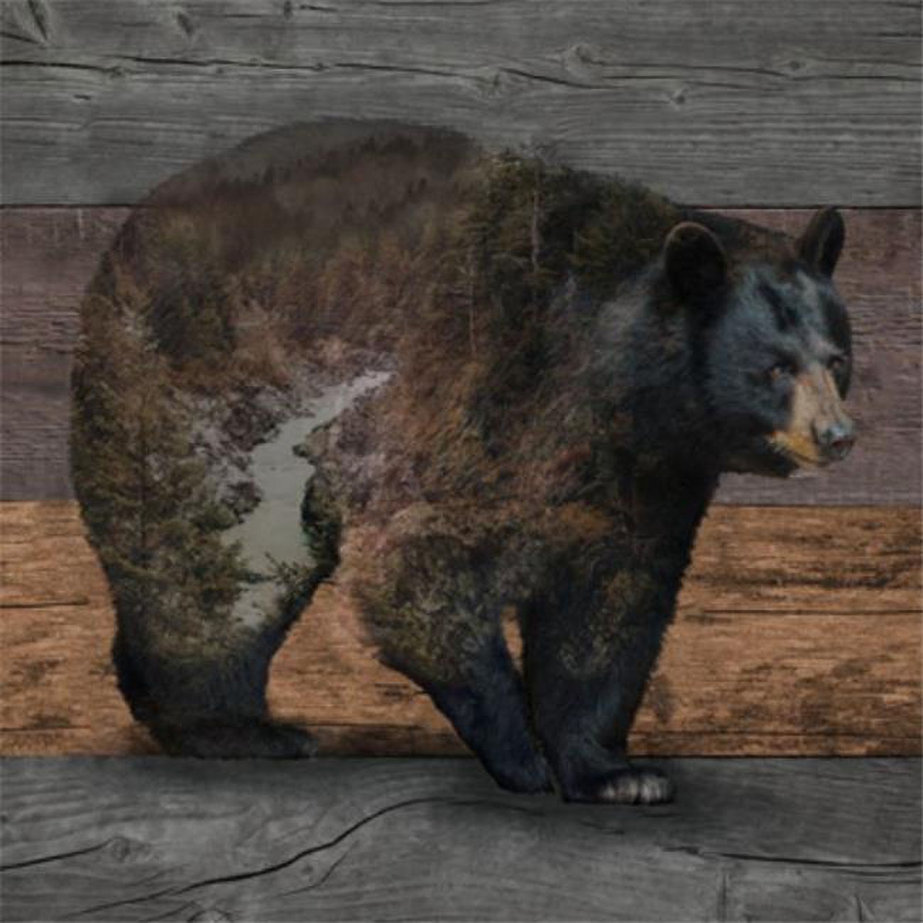 Youngs Wood Scenic Bear 2 Wall Plaque, Assorted Color - Walmart.com