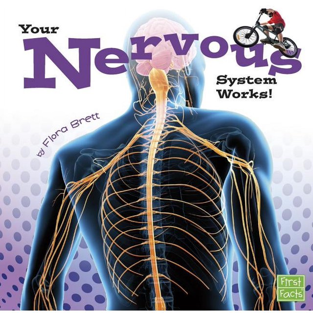 Your Body Systems: Your Nervous System Works! (Paperback) - Walmart.com
