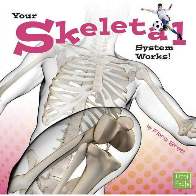 Your Body Systems: Your Skeletal System Works! (Paperback) - Walmart.com
