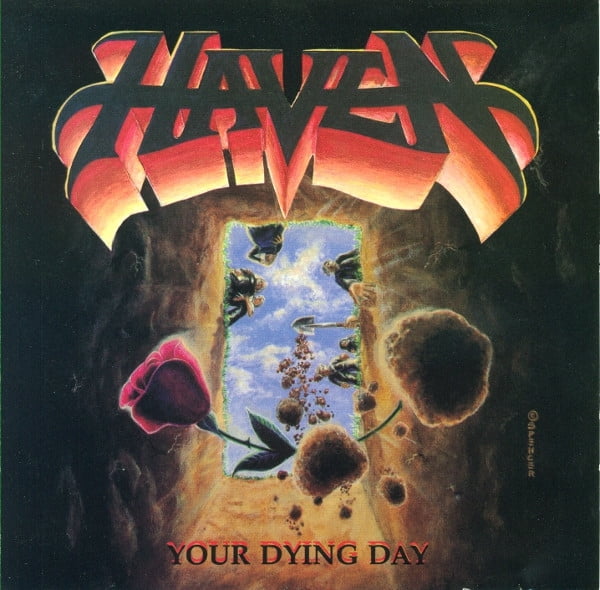 Haven Your Dying Day (Vinyl Record) - Walmart.com