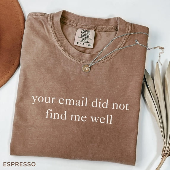 Your Email Did Not Find Me Well Shirt, Funny Dank Meme Quote Shirt, Out ...