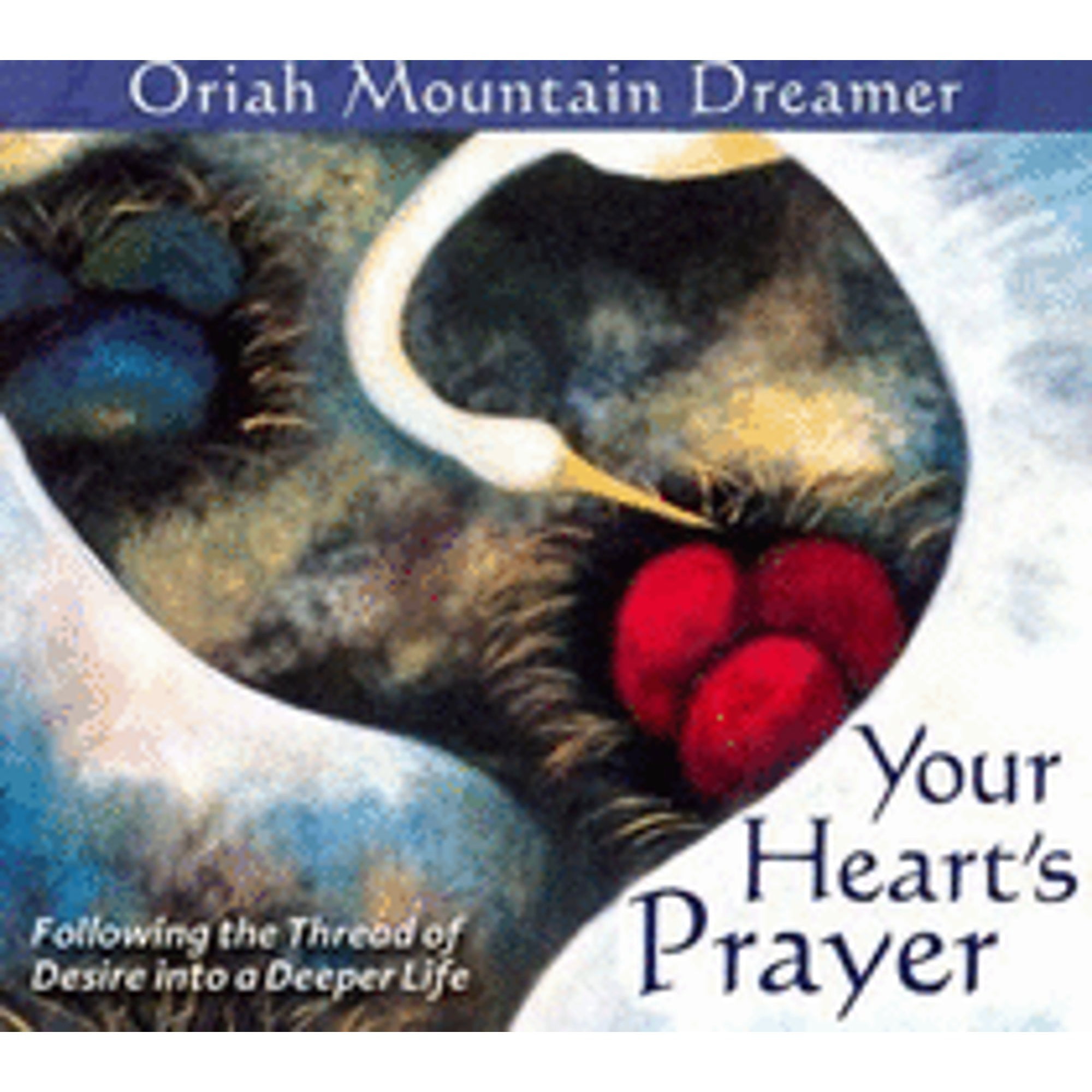 Pre-Owned Your Heart's Prayer: Following the Thread of Desire Into a ...