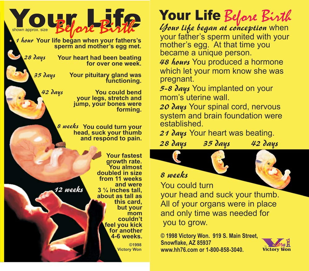 Your Life Before Birth Pro-Life Card (Pack of 100) - Walmart.com