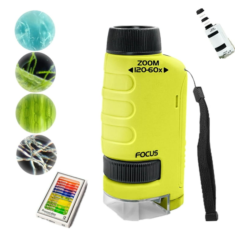 Hand Microscope Icon 7.380 Microscope Icon High Res Illustrations