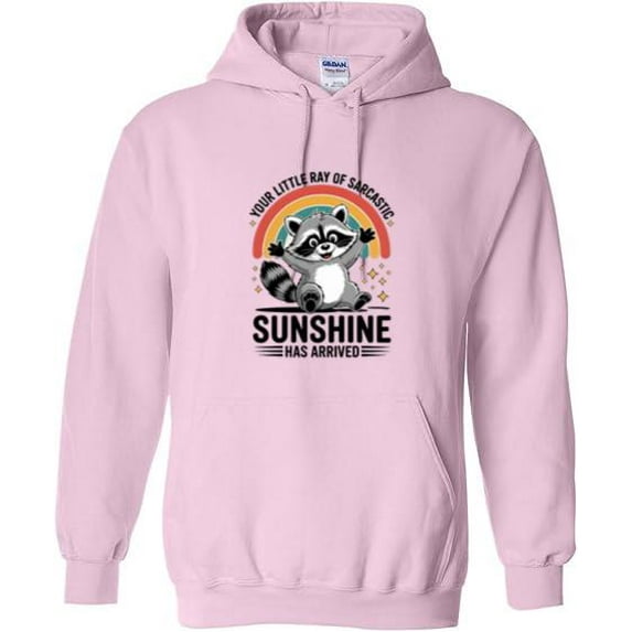 Your Ray Of Sarcastic Sunshine Has Arrived Funny Quote Hoodie - Walmart.com
