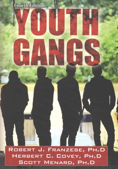 Pre-Owned Youth Gangs - Walmart.com