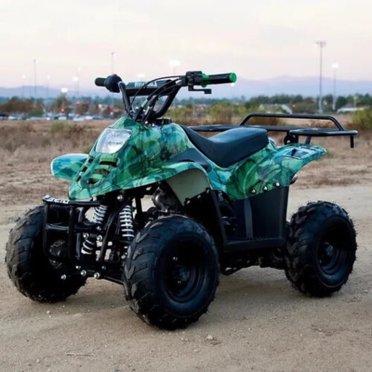 Tao Motor New 125 T-FORCE Platinum 120 cc Gas All-Terrain Vehicle (ATV ...