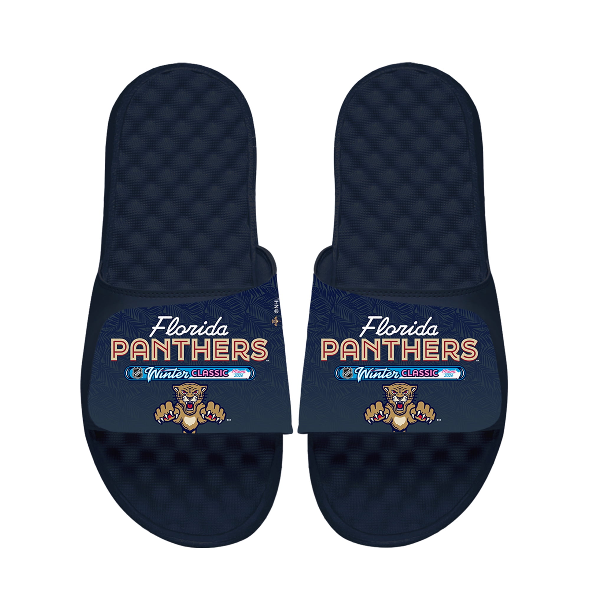 Youth ISlide Florida Panthers 2026 Winter Classic Palm Trees Slide ...
