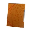 Youthyao A 4 File Organiser with Elastic Closure File Folder Sorting ...