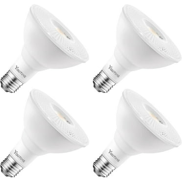 Philips 90W LED PAR38 Indoor/Outdoor Flood Light, Dimmable, Bright ...