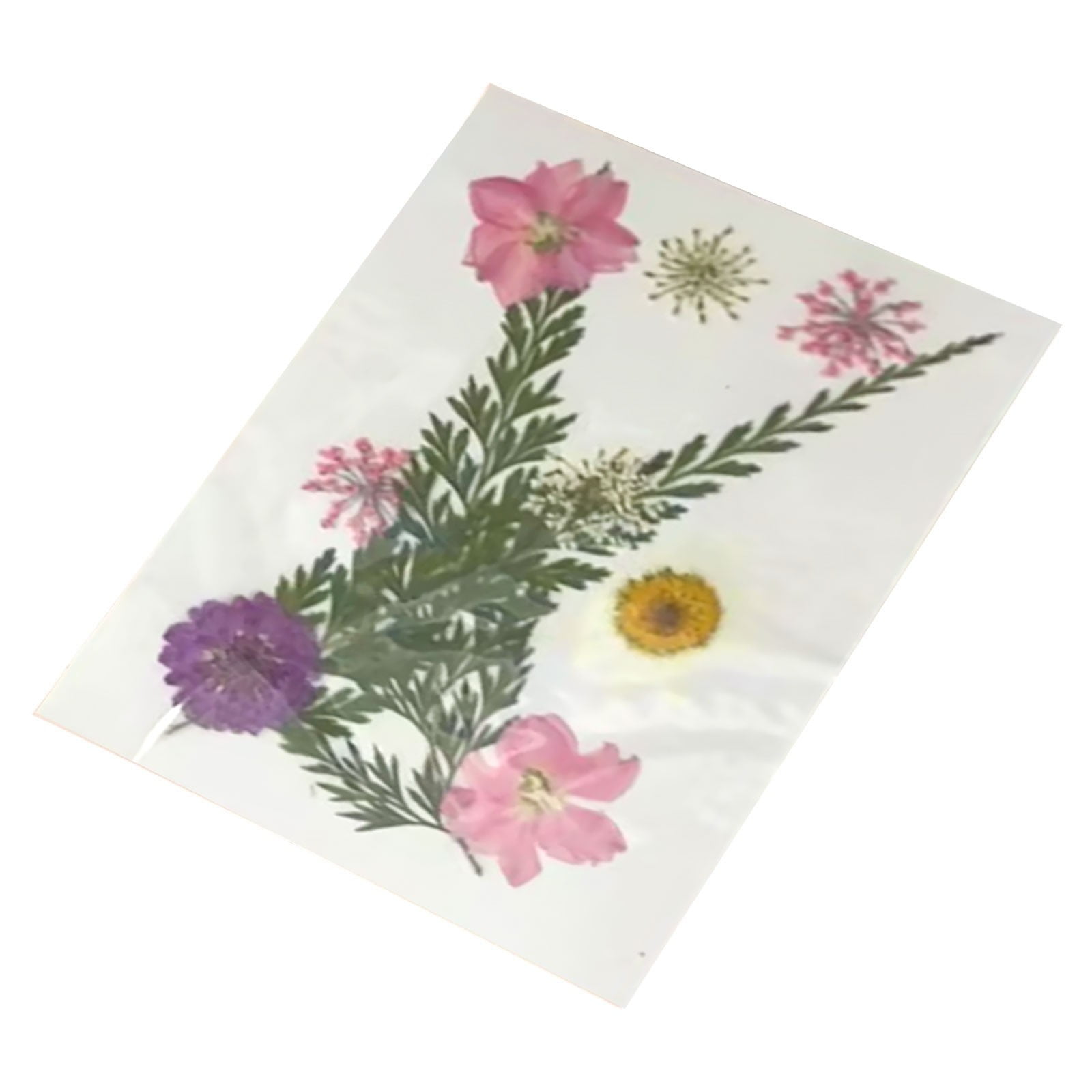 Yoziaaoa 3 Pcs Dried Flowers, Resiners Pressed Flowers for Craft Real ...