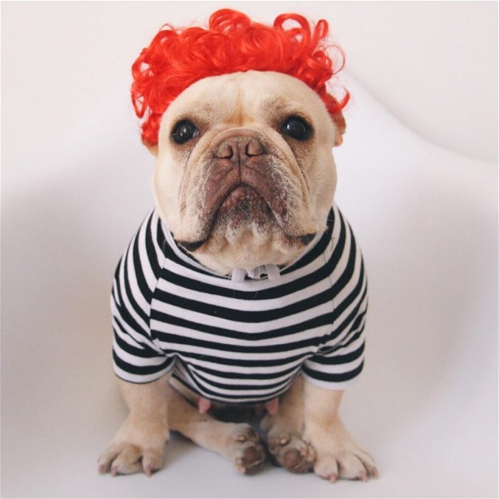 YruYptpaln Pet Wig Photography Prop For Cats And Dogs Funny Hair ...