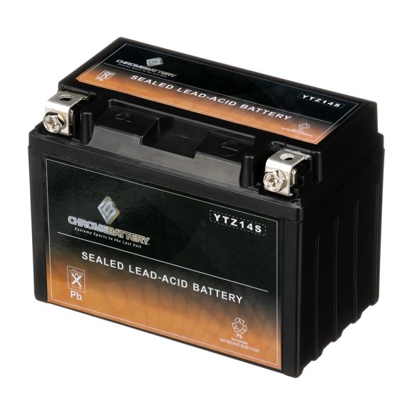 Duralast Power Sports Battery