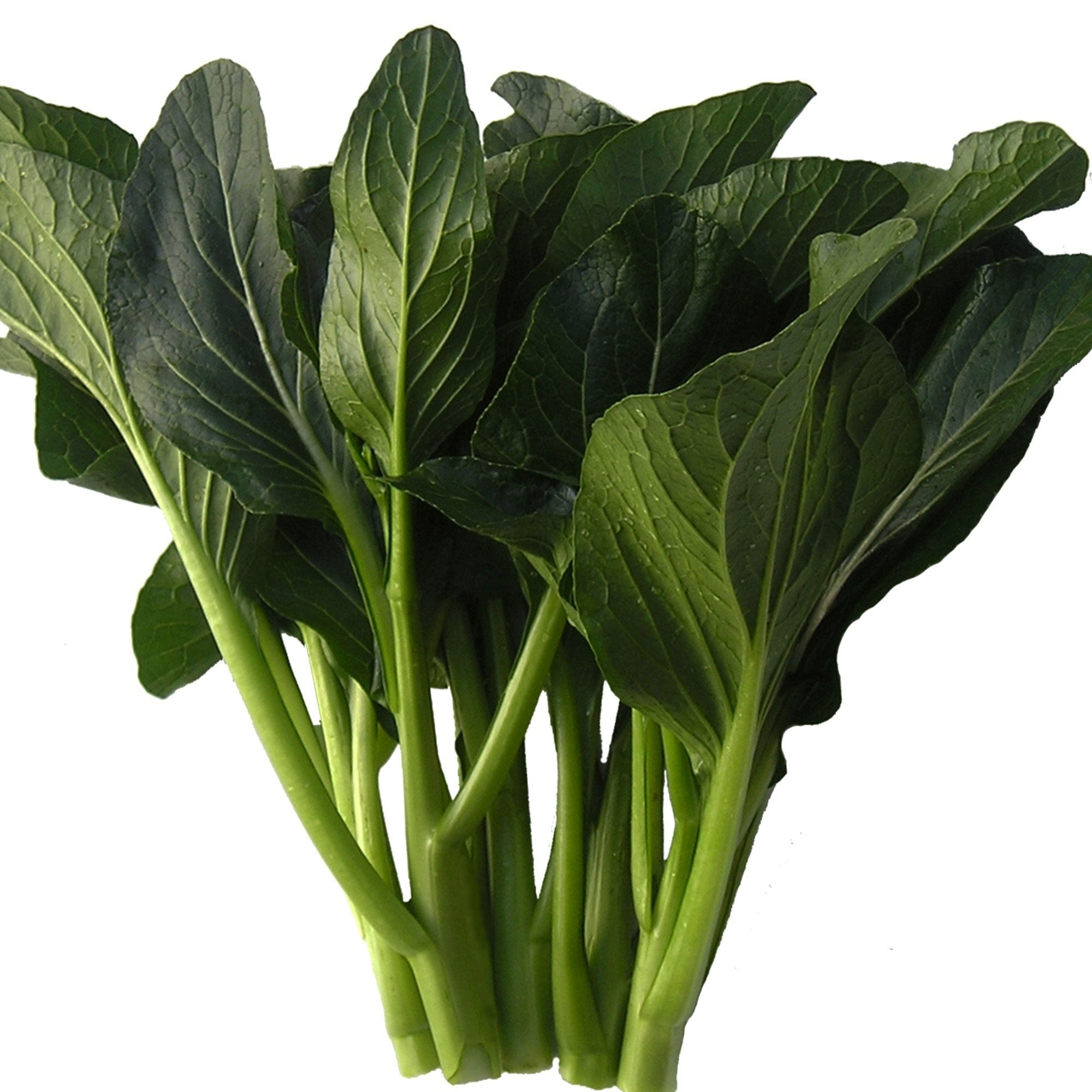 Yu Choy Sum Seeds - Jung Green - 4 Oz ~40000 Seeds - Non-GMO, Heirloom ...