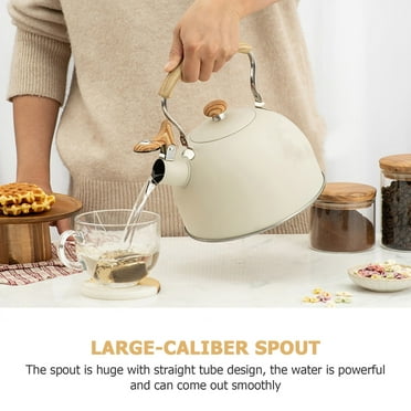 Korkmaz Perla Maxi Stainless Steel 1.2 Liter Tea Pot and 2 Liter Kettle ...