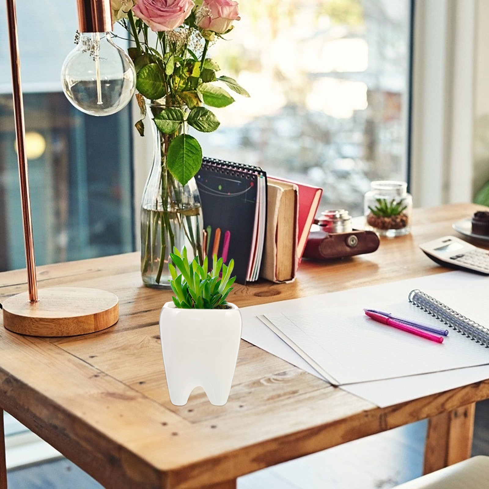 Yuangui 2Pcs Ceramic Tooth Shaped Succulent Planter for Desk Decoration ...