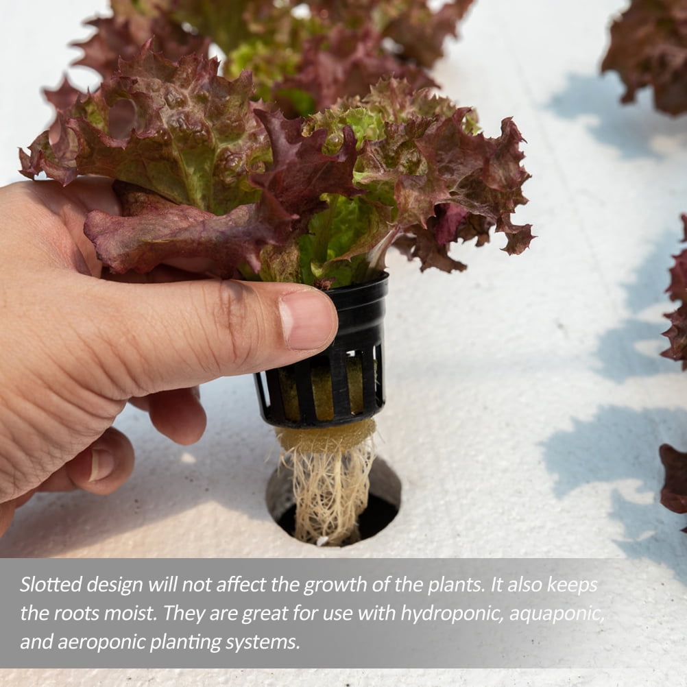 Yuangui 50Pcs Hydroponic Net Cups for Aquaponics & Orchids - Slotted ...