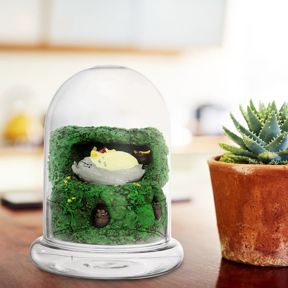 Yuangui Glass Terrarium Display Jar Dome Cloche Succulent Micro ...
