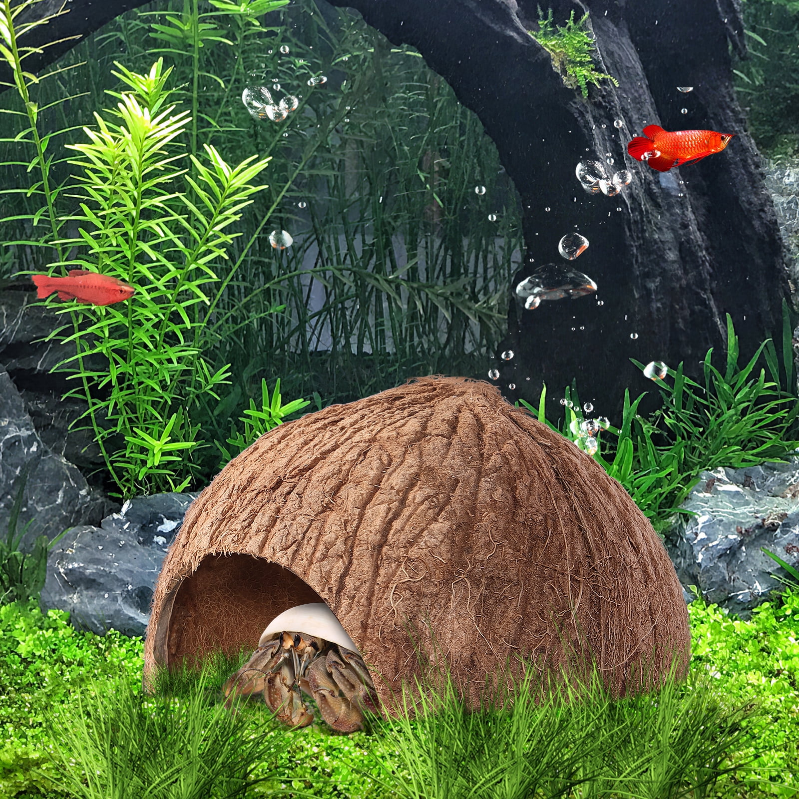 POPETPOP 2pcs Coconut Shell Natural Reptile Hideouts Cave for Lizard ...