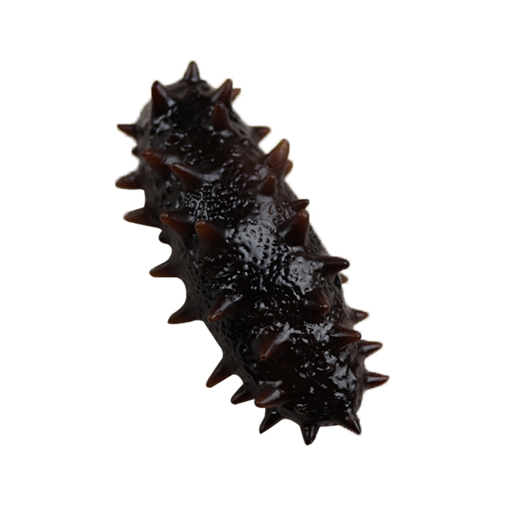 Yuangui Sea Cucumber Fake Oceanartificial Model Deep Cognitive ...