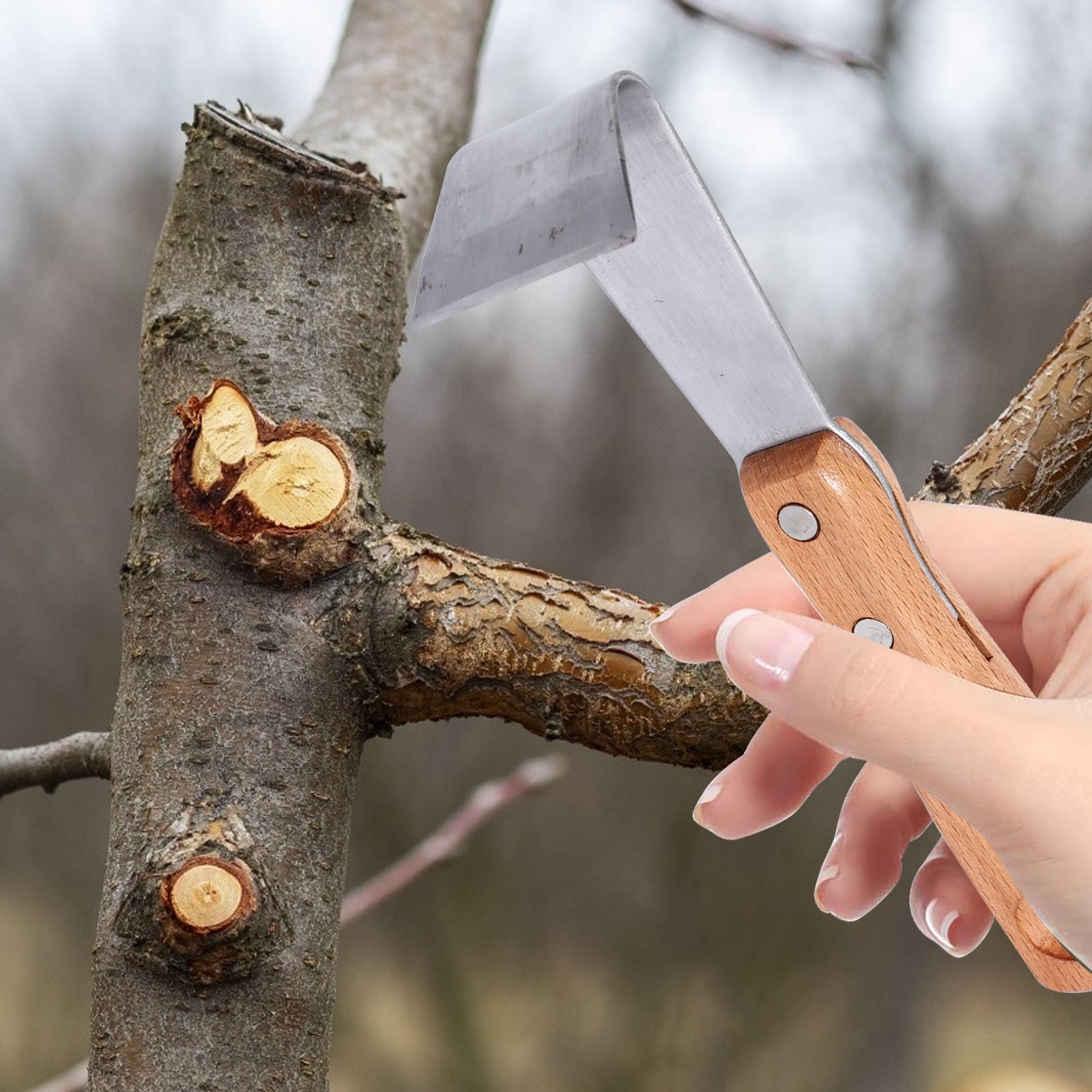 Yuangui Tool Bark Tree Peeler Draw Removal Wood Grafting Shave ...