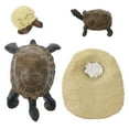Yuanmiaoke Life Cycle of Turtle Egg to Tortoise Figurines Growth Life ...