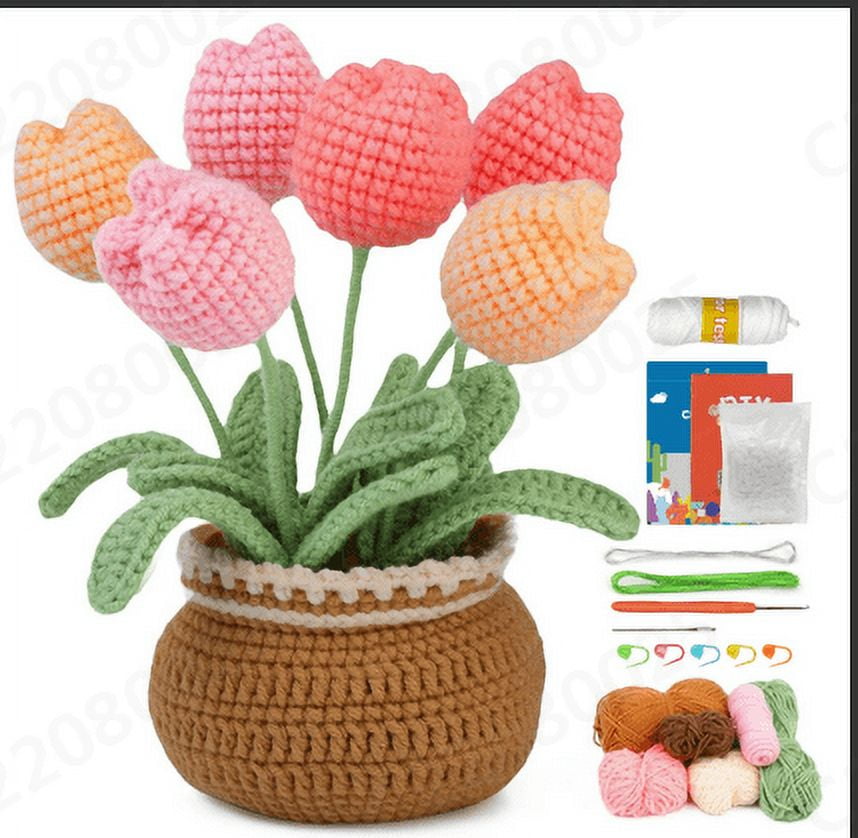 Yuanzi Beginner Crochet Kit, 6 Colors Yarn with Crochet Hooks & Needle ...