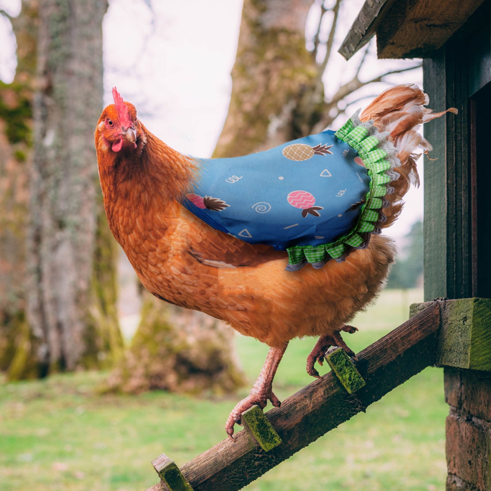 Yuanzi Hen Apron Protective Cover, Canvas Lining Poultry Protector ...