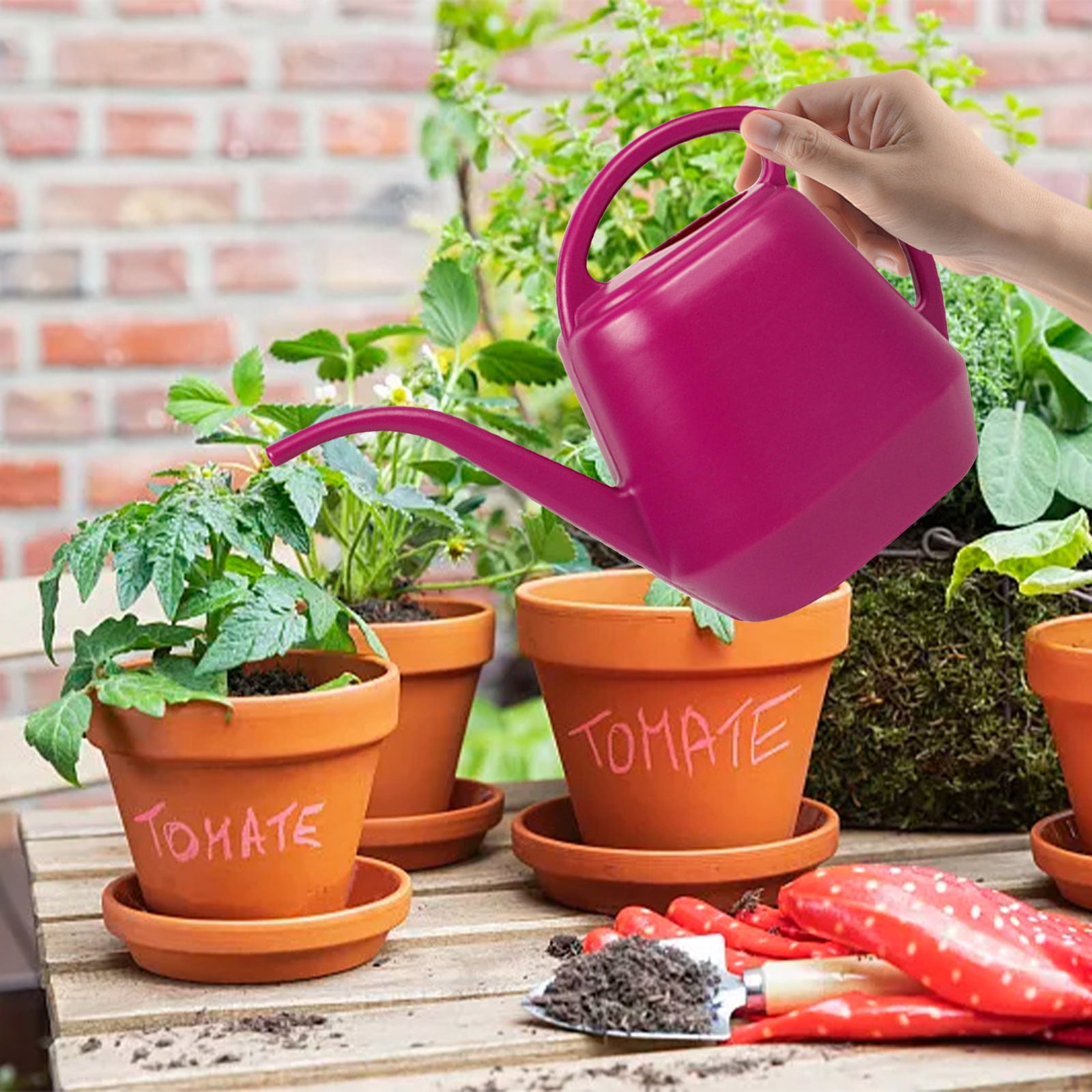 Yuanzi Plant Watering Can 1 Gallon Long Spout, Ergonomic Handle Plastic ...