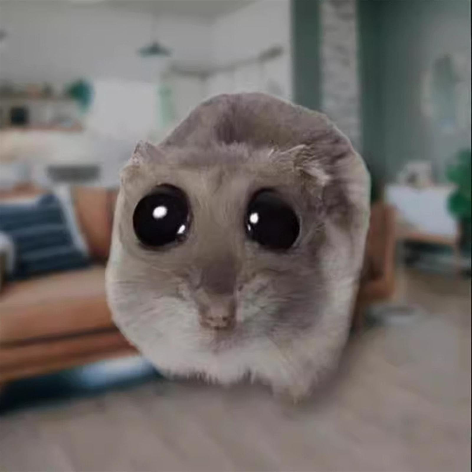 Yubatuo Sad Hamster Meme Plush Toy,Stuffed Animals Sad Hamster Plushies ...