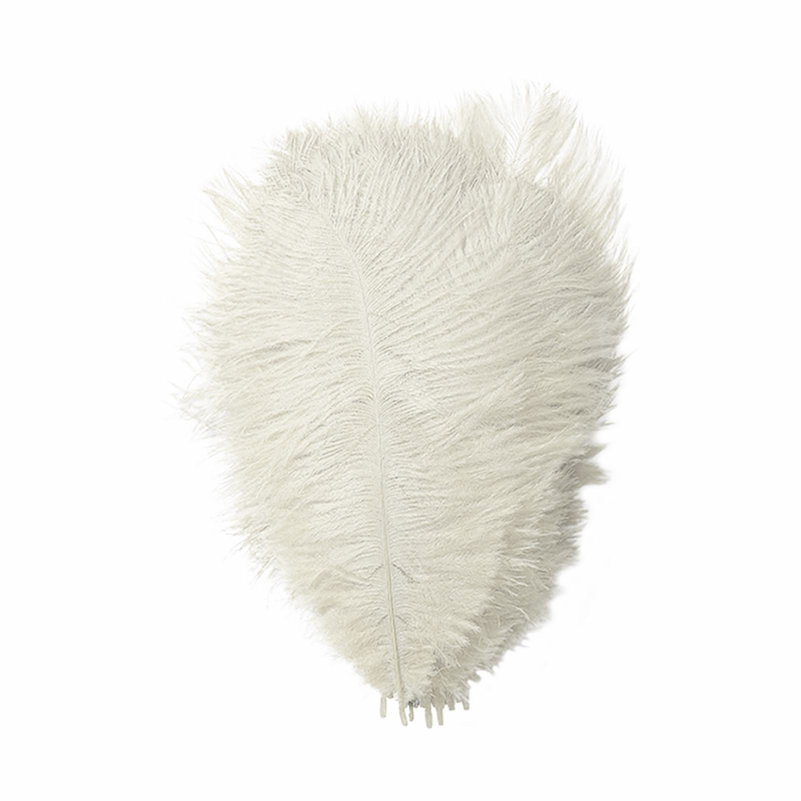 Yuehao 36Pcs Feather 23cm Stage Props Feather Wall Color Feathers White ...