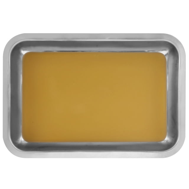 Yueyihe Dissecting Tray Wax Dissection Tray Labs Dissection Plate for ...