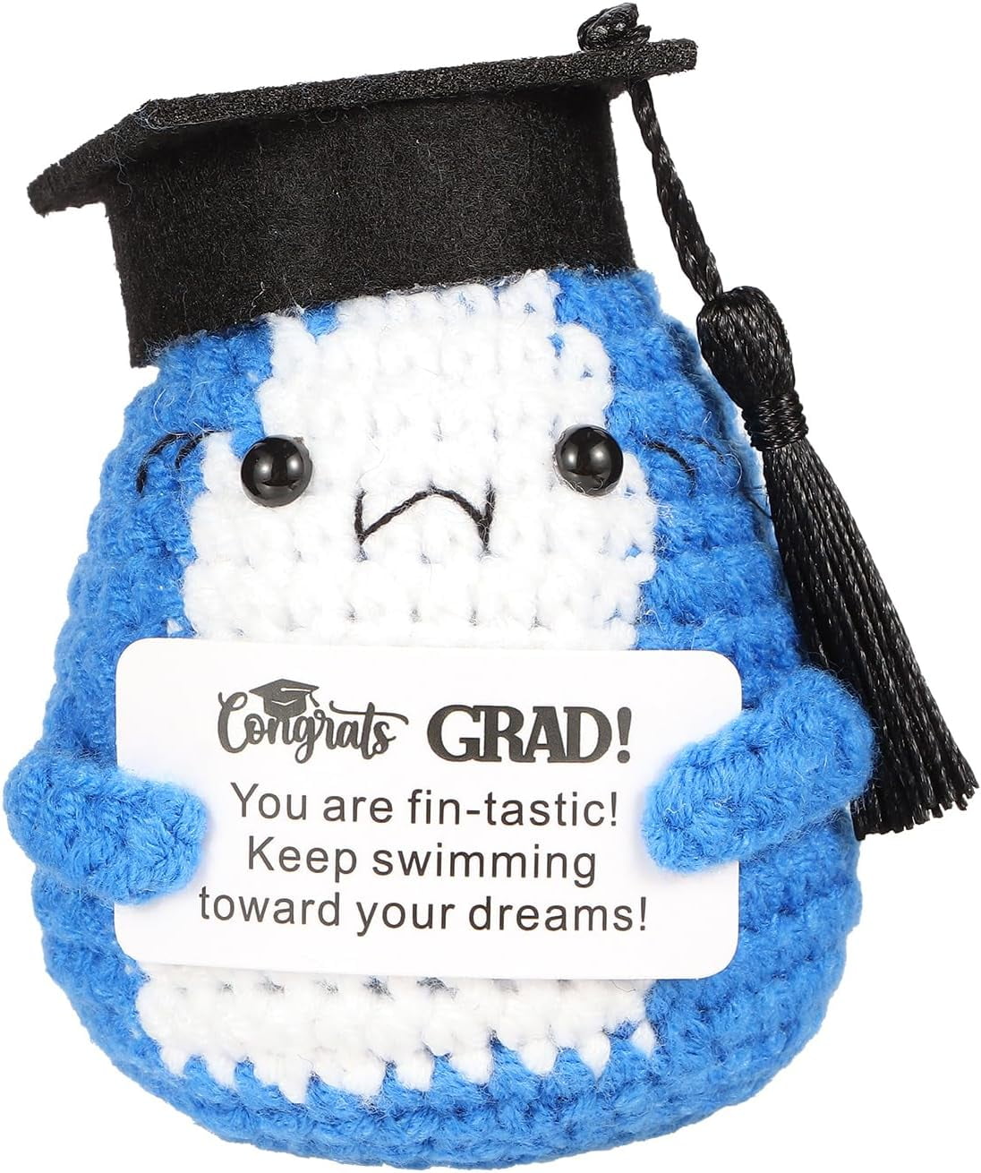 Yuioop Class of 2025 Graduation Gifts, Graduation Plush 2025 ...