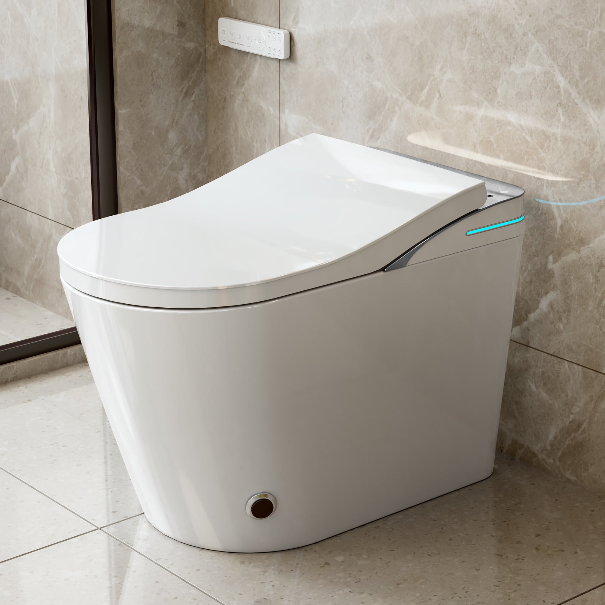 One Piece Bidet Toilets