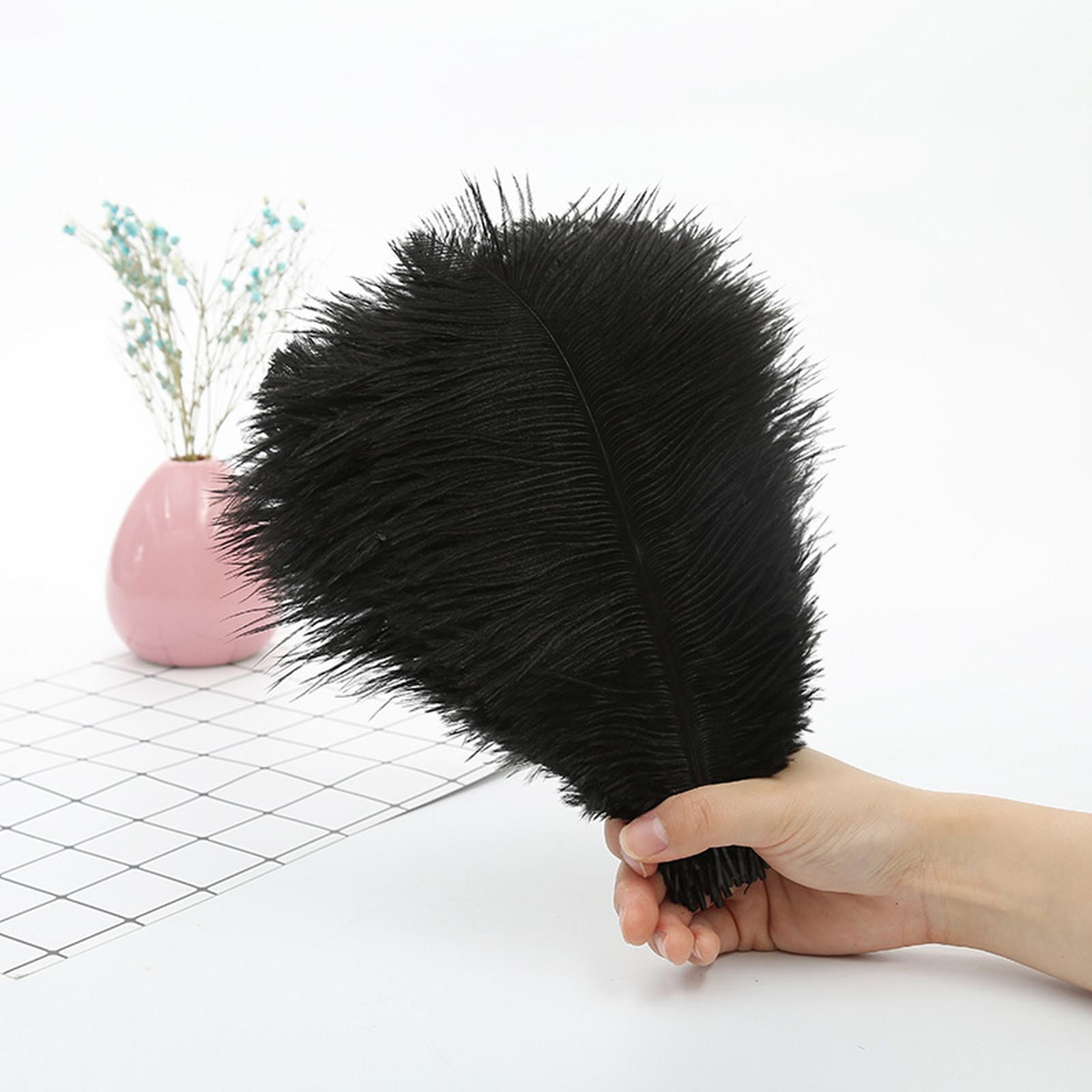 Yuljskio Feather 23cm Or So Stage Props Feather Wall Color Feathers ...