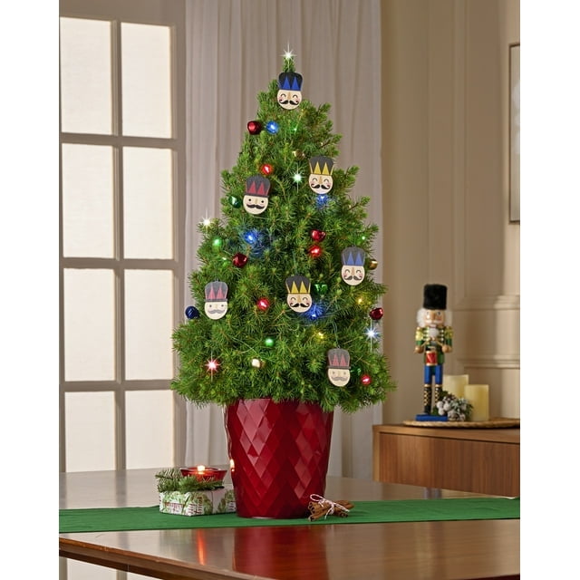 Yum Yums Hybrid Mini Bells Sweet Pepper Seed Mixture, Approx. 15 seeds ...