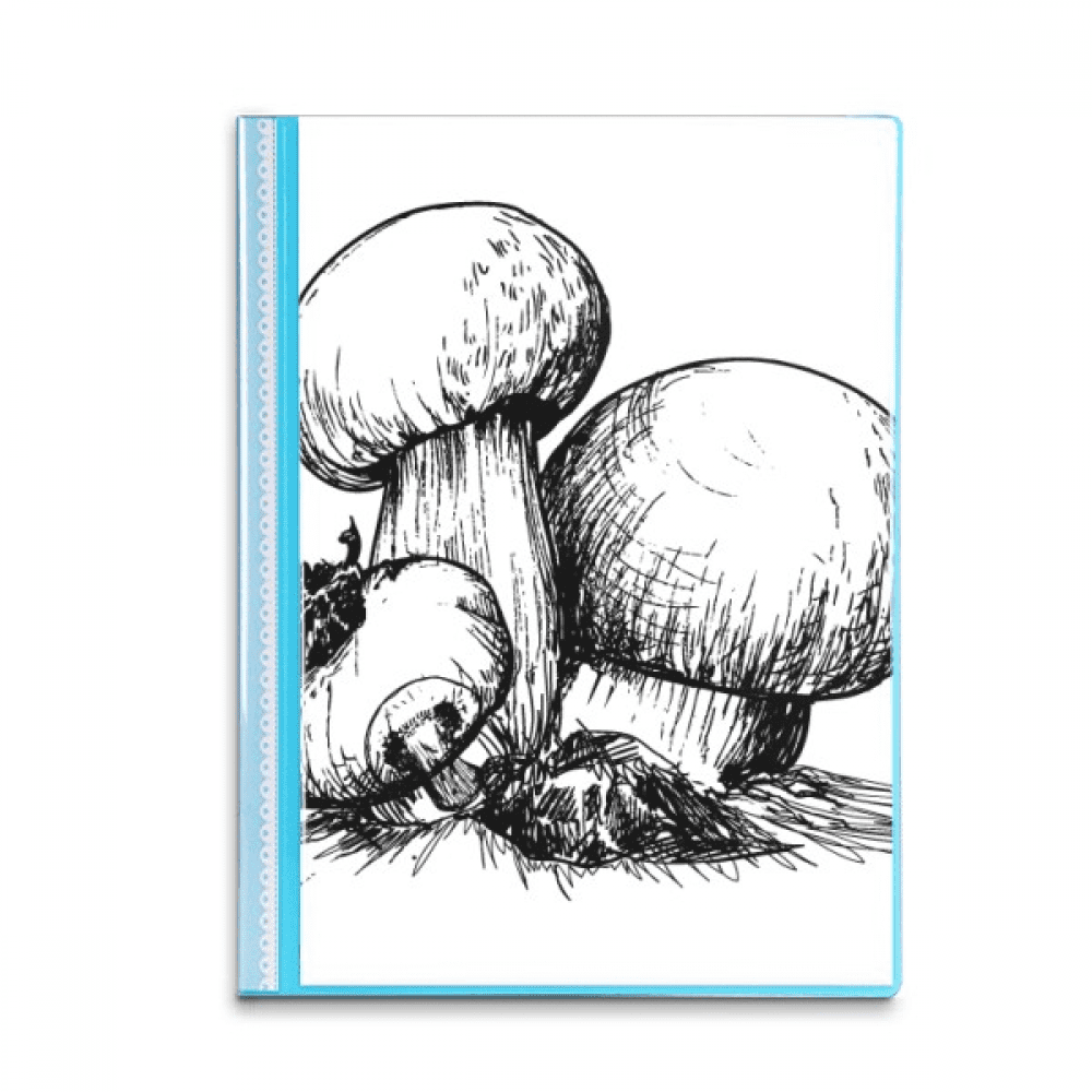 Yummy Creature Swamm Illustration Book Sheet Protectors Portfolio ...