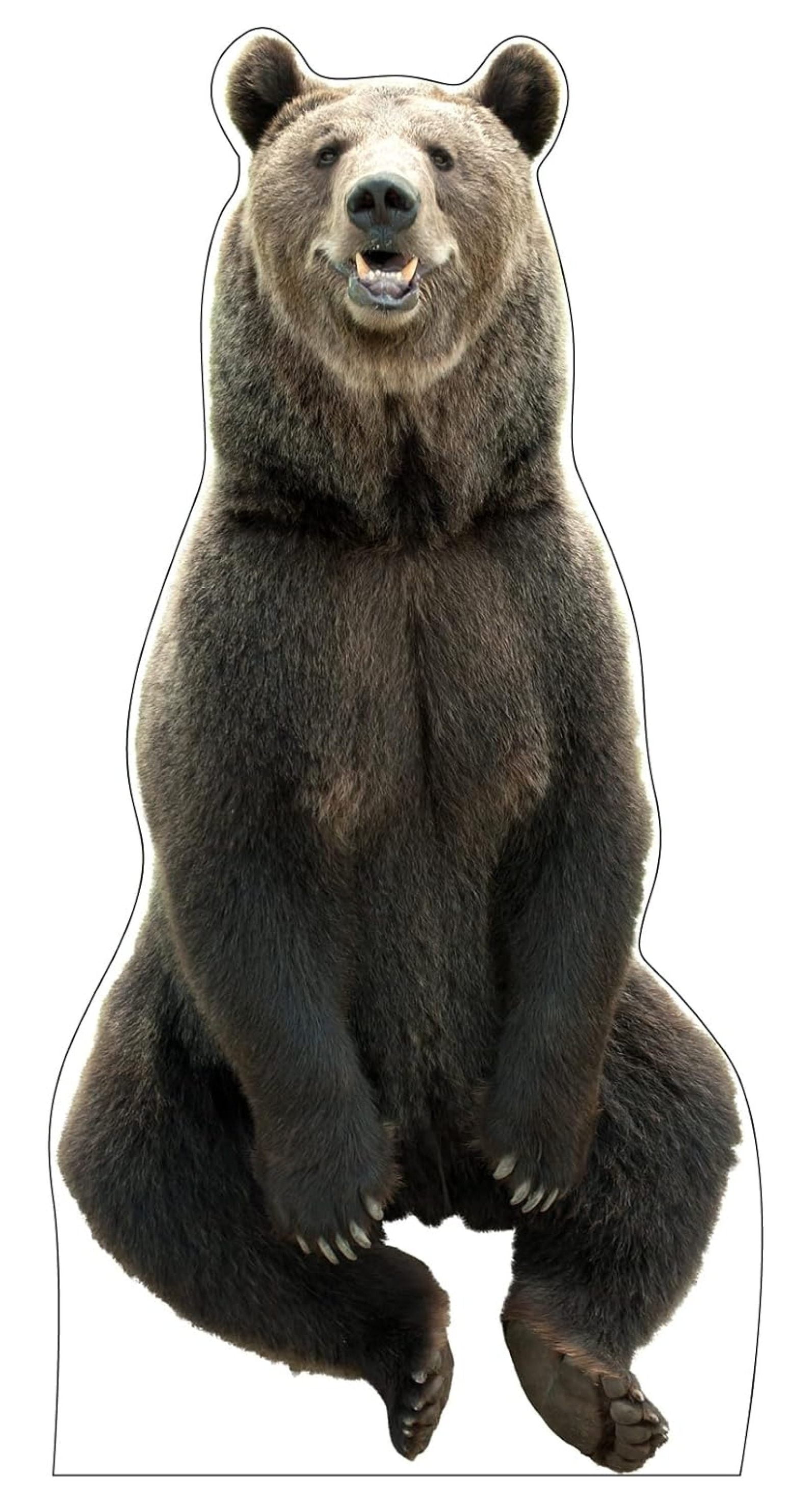 Yunhouse Life Size Cardboard Cutout Standup,Waterproof,Animals - Brown ...