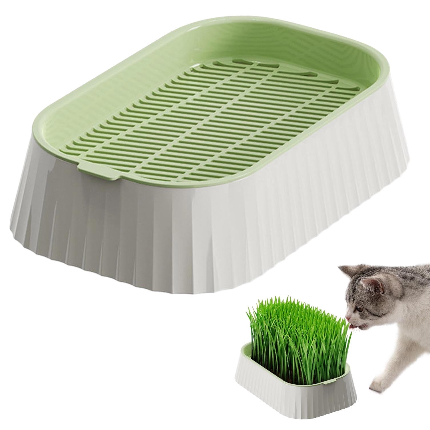 Yunuuuoa 2 Packs Grass Growing Kit, Double Layer Planter Tray with ...