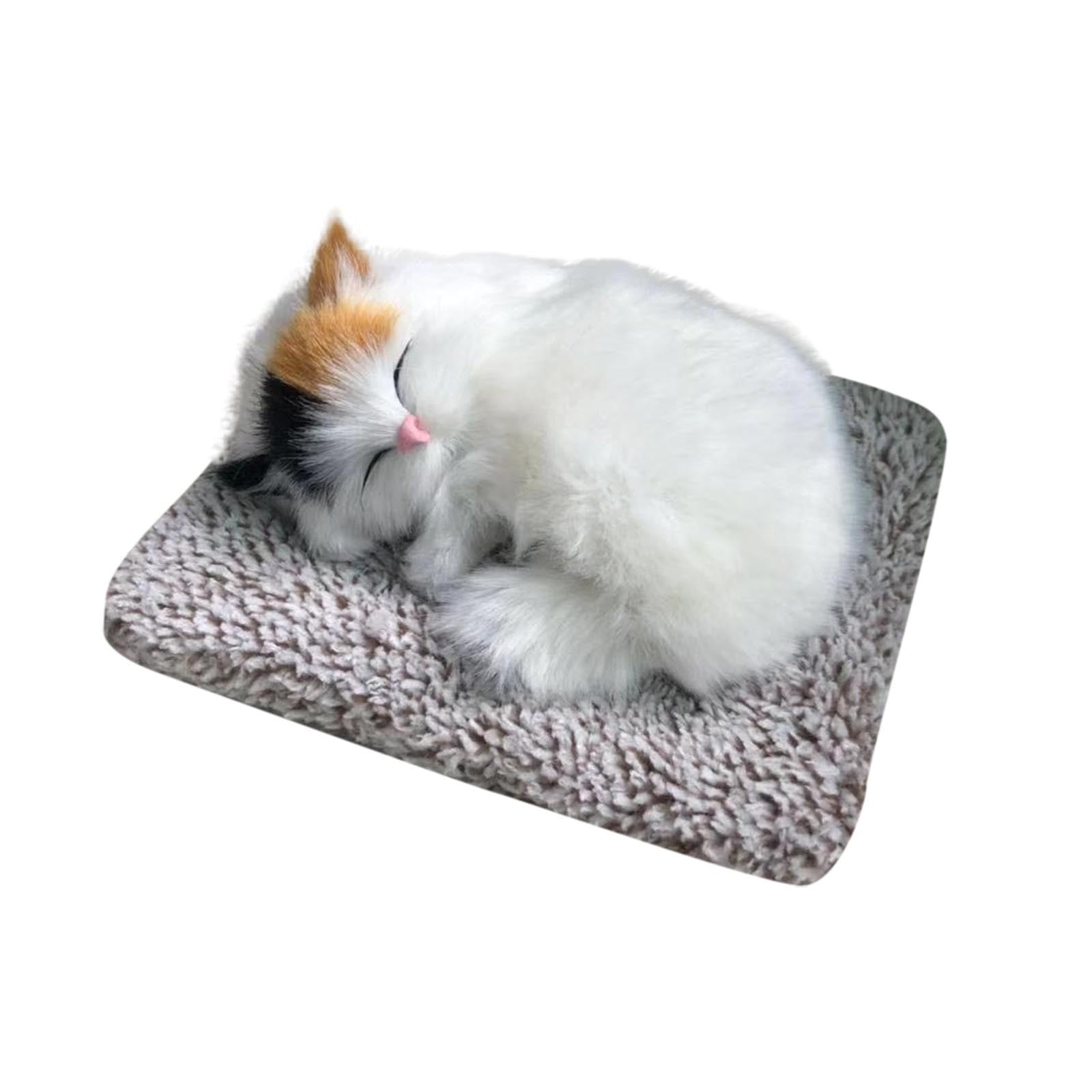 Yuping Funny Sleeping Toys Cat In The Mattress Toy Mini Cat In Shoe ...