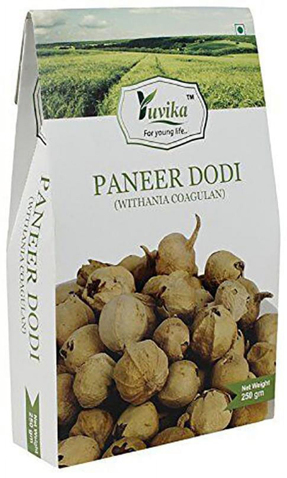 Yuvika Paneer Dodi - Paneer Ke Phool - Withania Coagulan 250gms ...