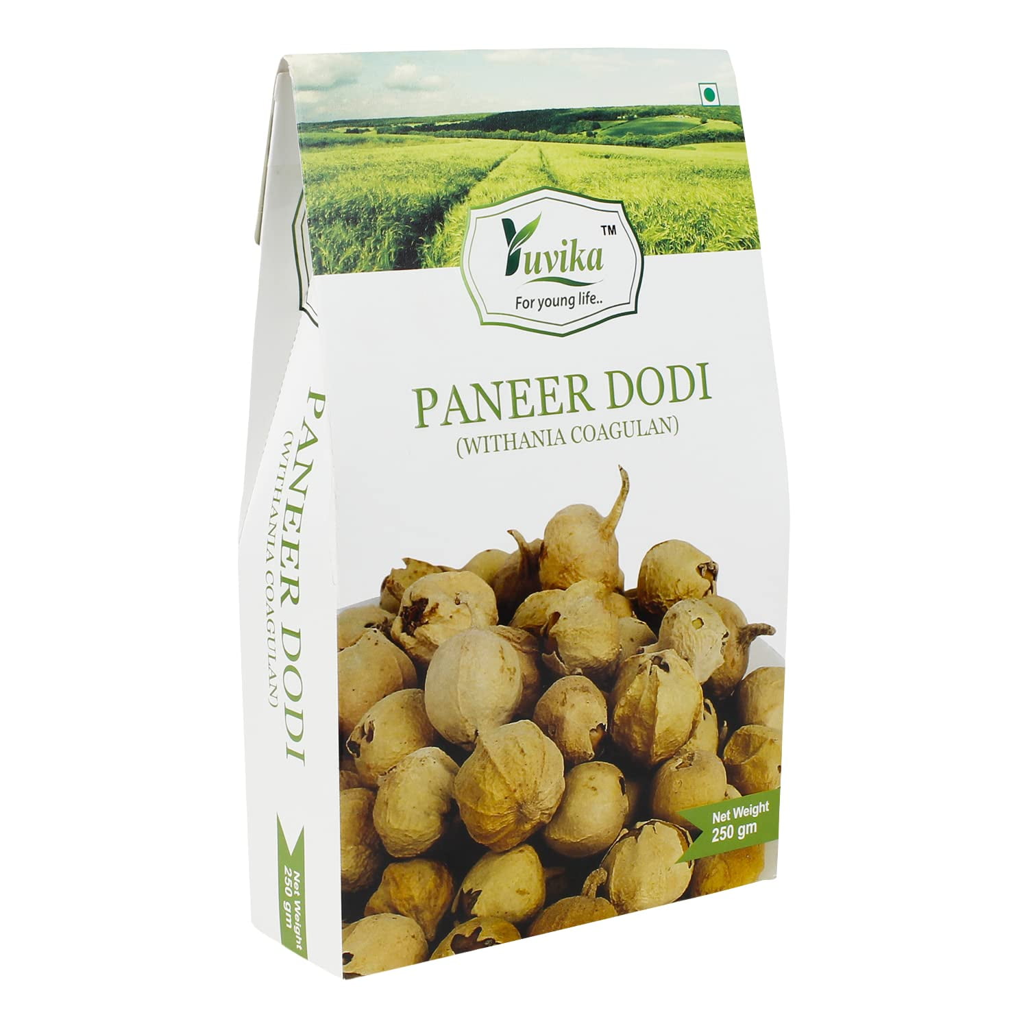 Yuvika Paneer Dodi - Paneer Ke Phool - Withania Coagulan - Walmart.com