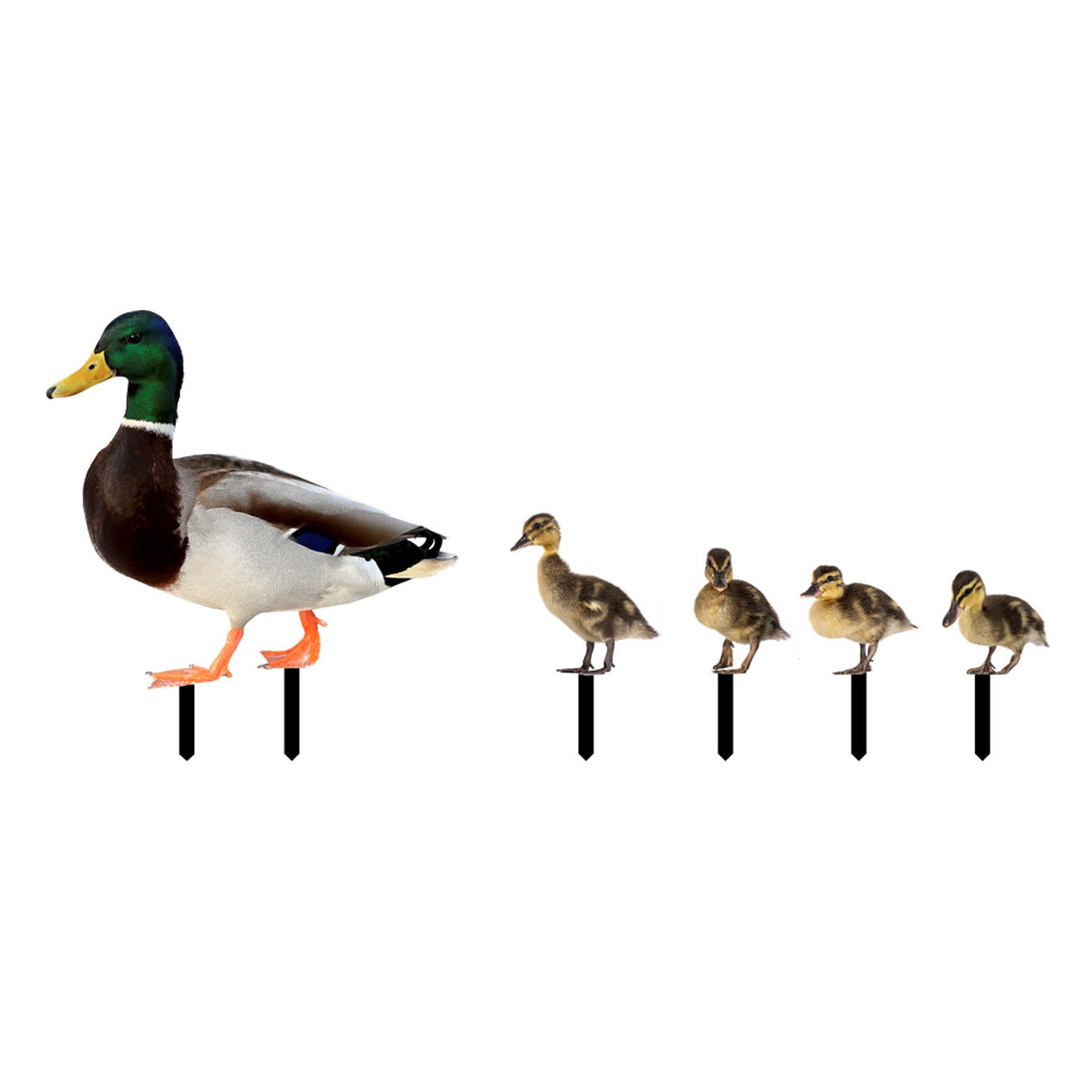 Ywmsfl 5 Pack Ducks Yard Signs for Outdoor Yard Lawn Garden Acrylic ...
