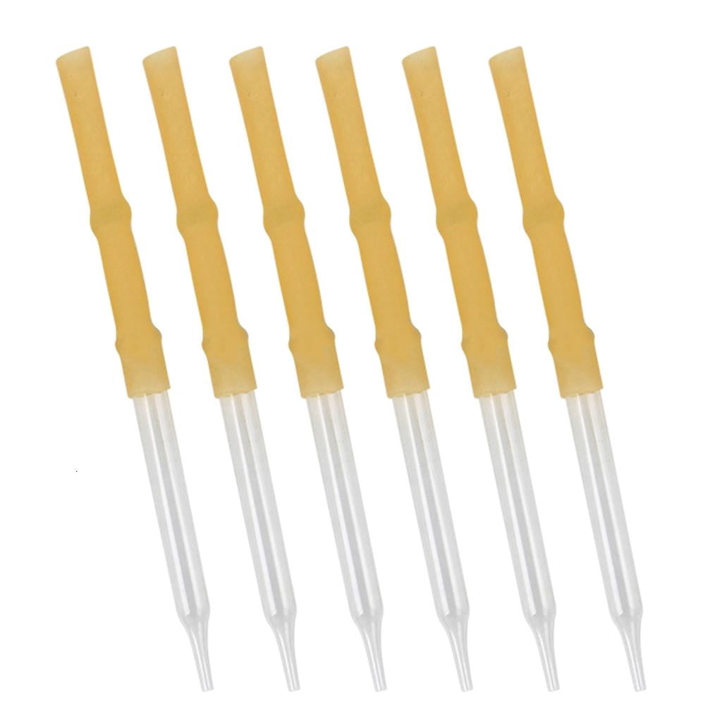 Ywmsfl 6 Pcs Lab Liquid Transfer Pipettes Alkaline Burette Replacement ...