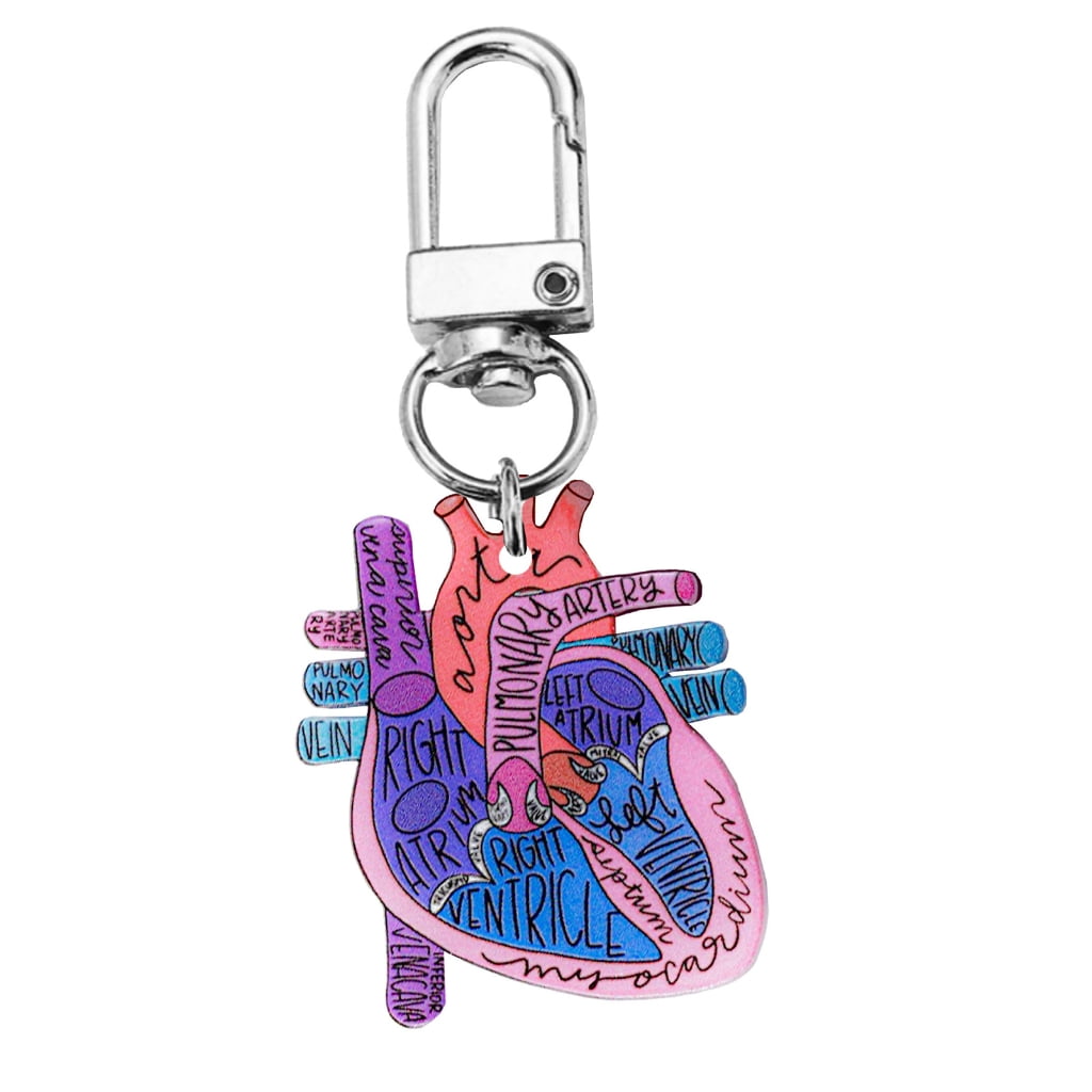Ywmsfl Human Heart Diagram Keychain Detailed Heart Keychain Accessory ...