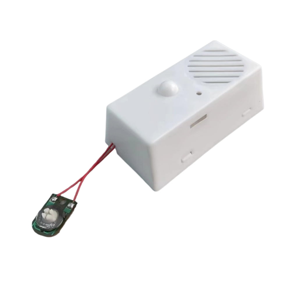 Ywmsfl Voice Music Box Funny Sound Recordable Device Voice Module Box ...