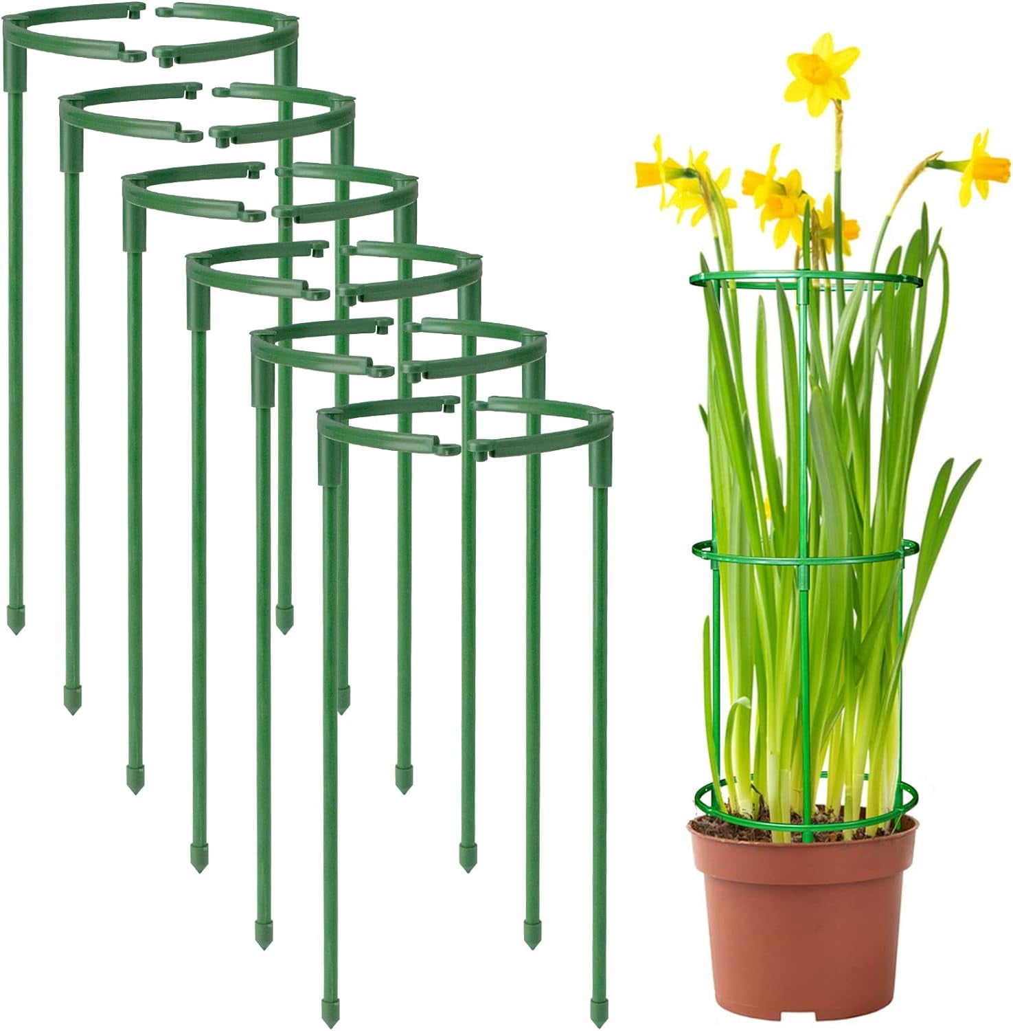 Ywuzuh Peony Cages and Supports 5 Pack Plant Cages & Supports Garden Flower Support, Plastic ...