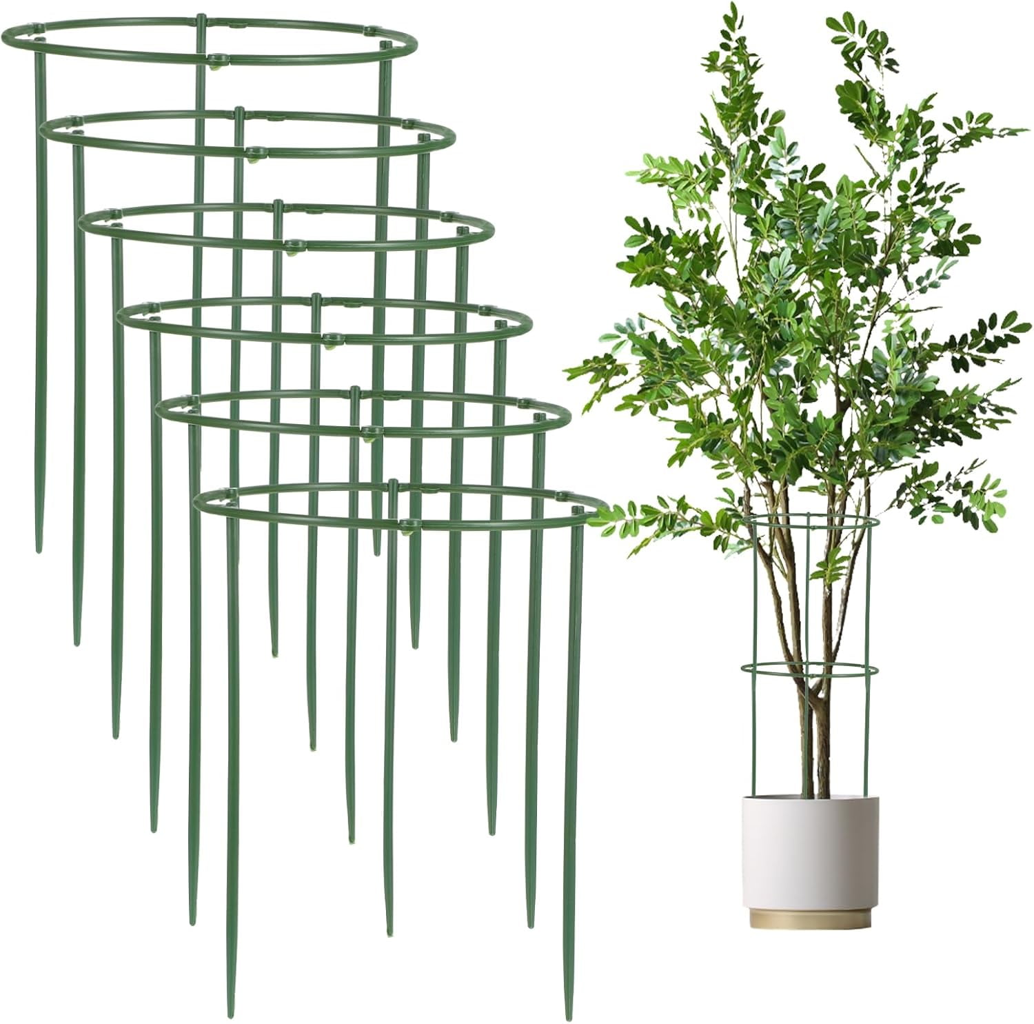 Ywuzuh Plant Cages for Outdoor Plants 6 Pack Garden Savings Garden ...