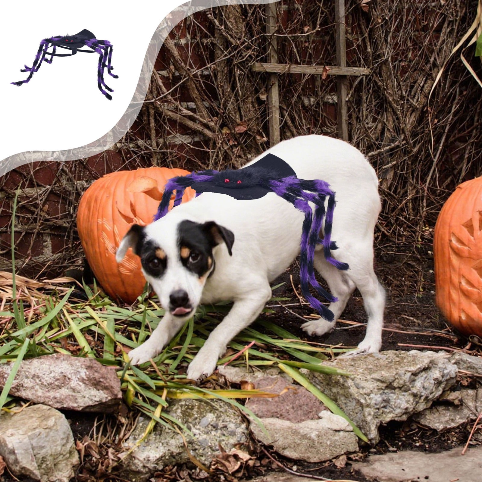 Yyuenw 5.7 FT Pet Spider Costume - Halloween Spider Costume for Cats ...